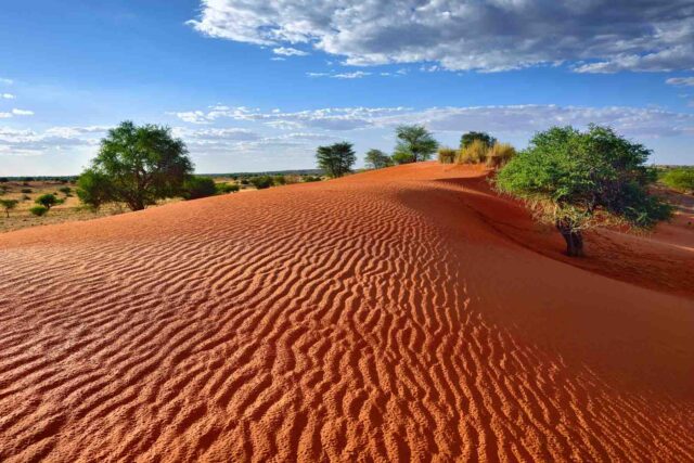 The 10 Deserts in Africa That Are Incredible - Wildlife Explained