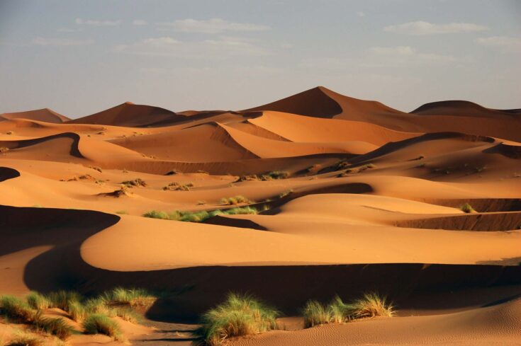 The 10 Deserts in Africa That Are Incredible - Wildlife Explained