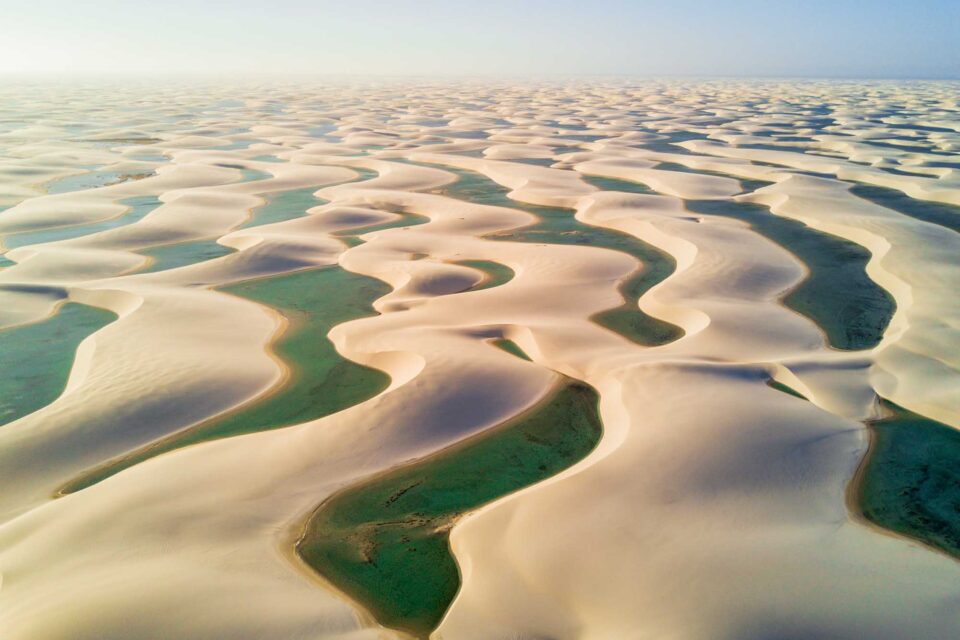 11 Incredible Deserts in South America - Wildlife Explained